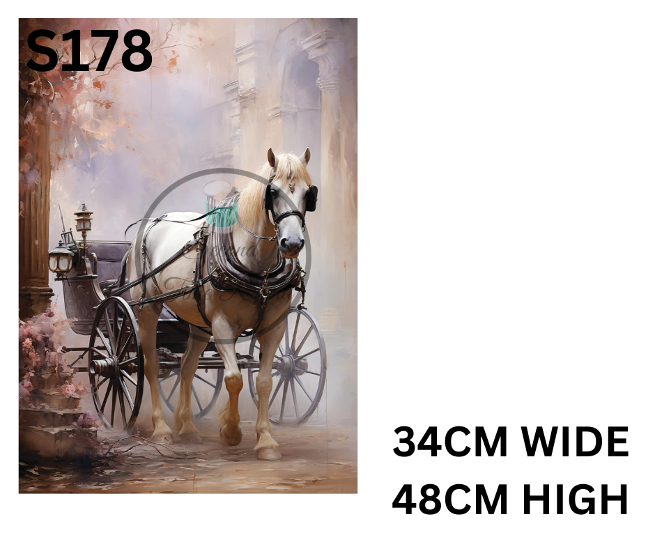 S178 – Second Time Round NSW