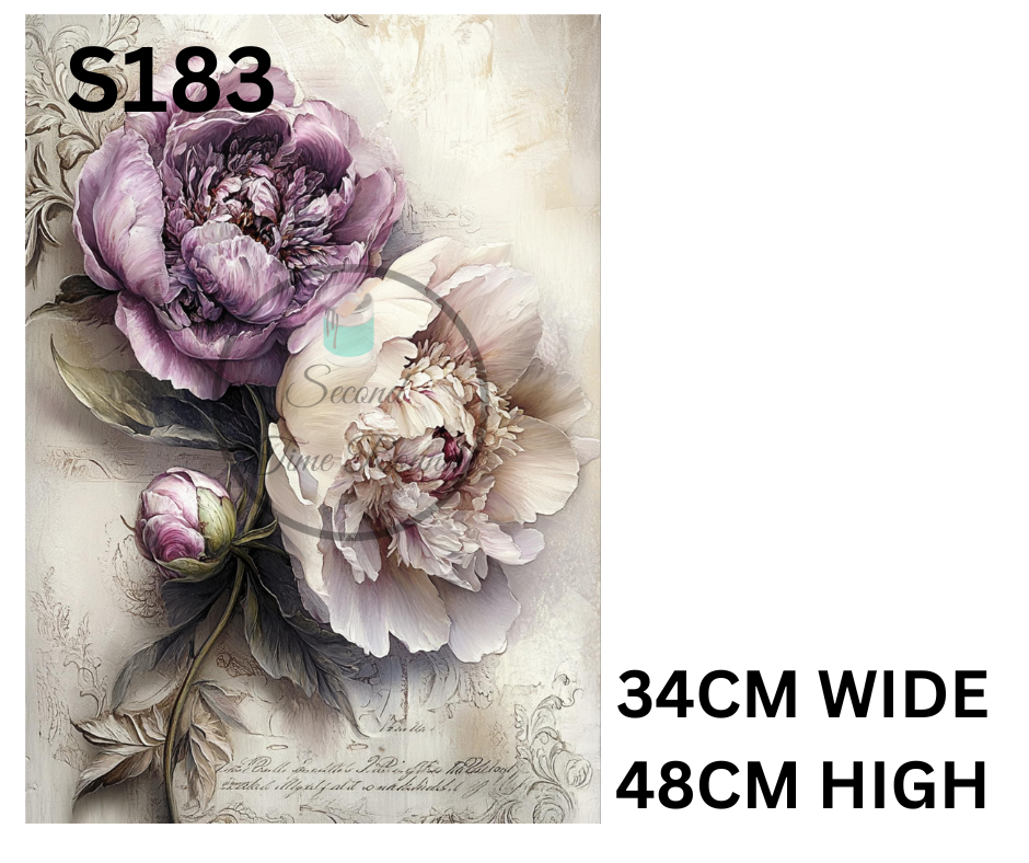 S183 – Second Time Round NSW